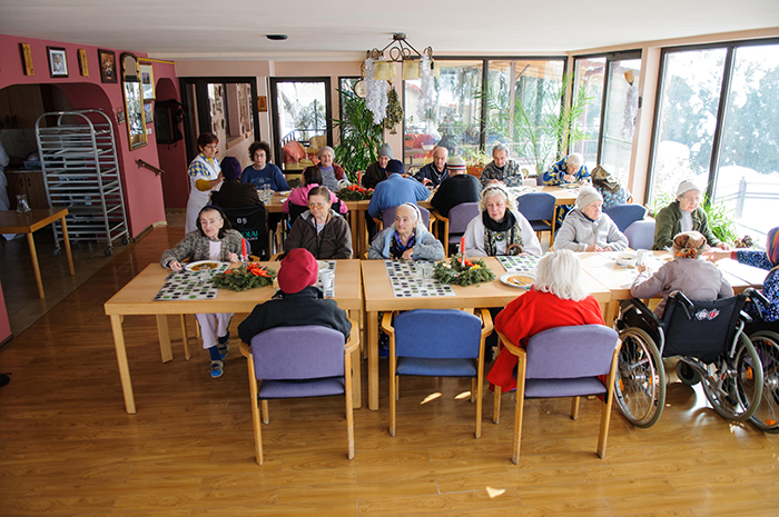 Azil batrani - Casa Snagov